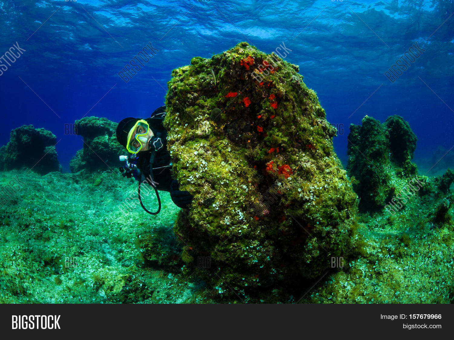 Scuba Diver On Bottom Image & Photo (Free Trial) | Bigstock