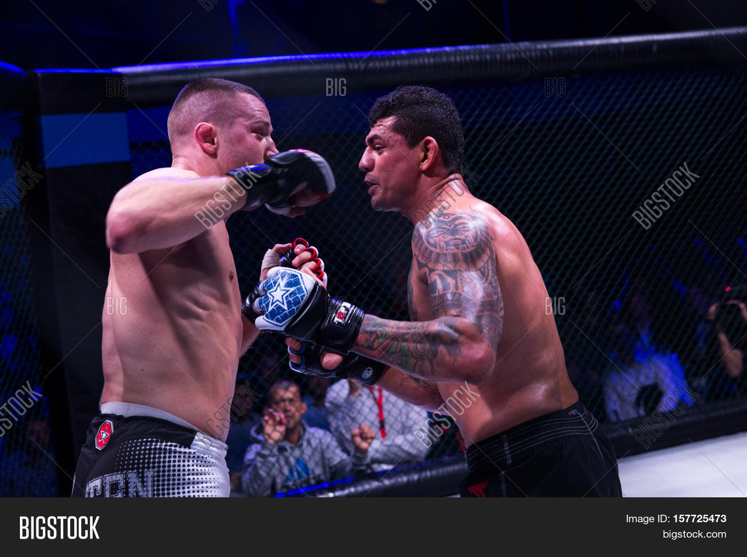 NOVI SAD SERBIA - Image & Photo (Free Trial) | Bigstock