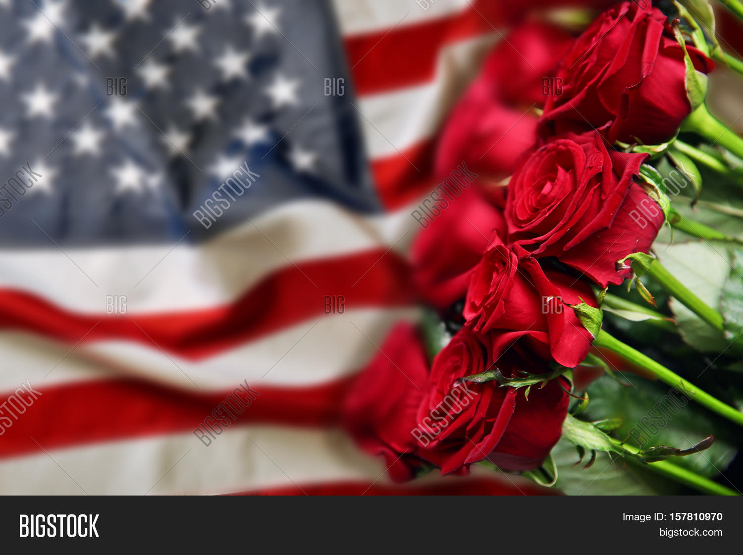 Roses On USA Flag Image & Photo (Free Trial) | Bigstock
