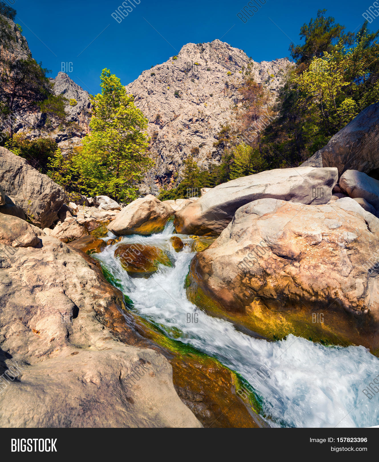 Picturesque Scene Image & Photo (Free Trial) | Bigstock