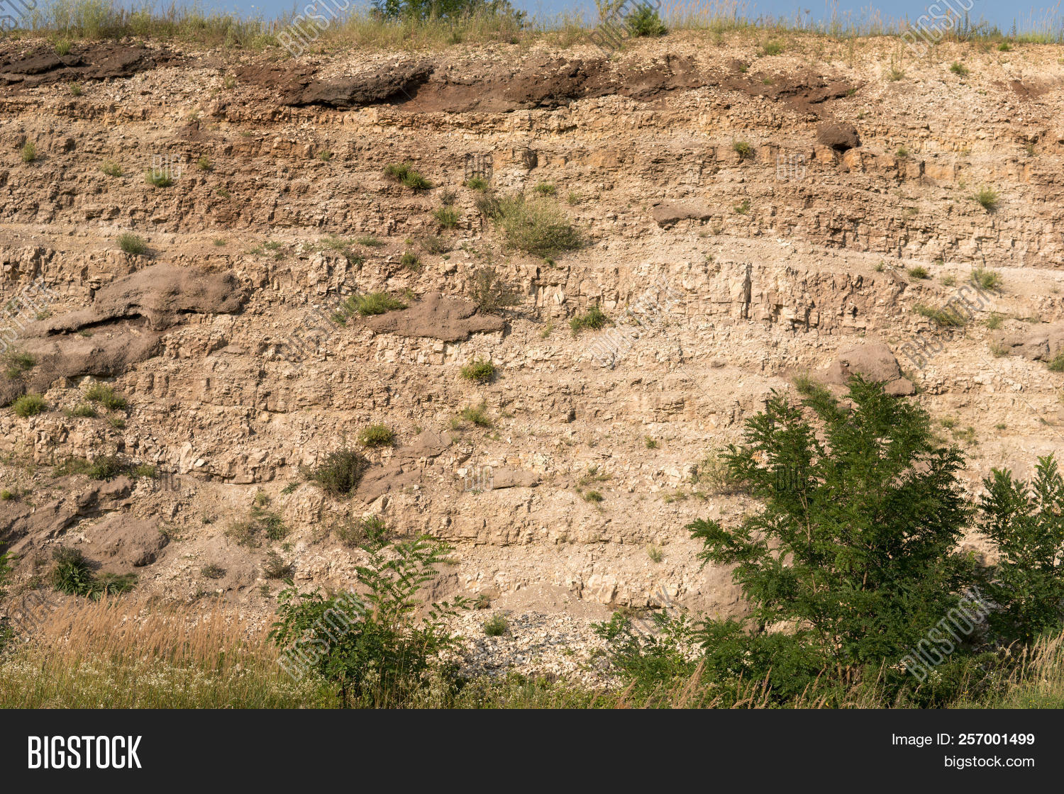 Limestone Detail Image & Photo (Free Trial) | Bigstock