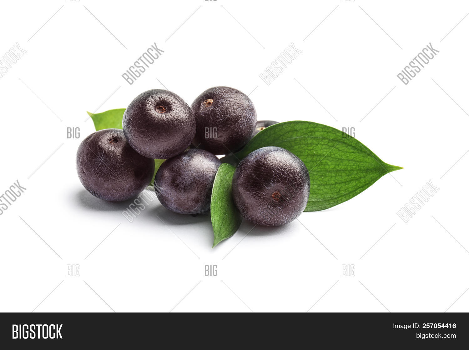 Fresh Acai Berries Image & Photo (Free Trial) | Bigstock