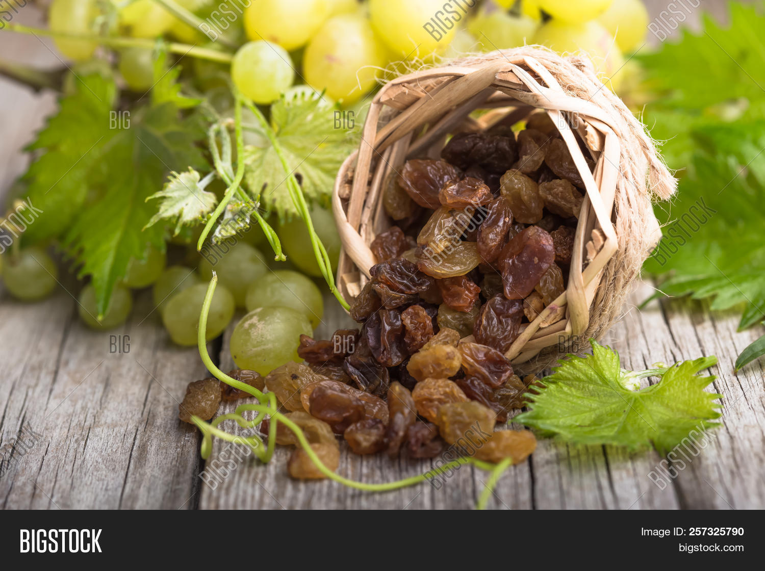 Golden Raisin Raisin Image & Photo (Free Trial) | Bigstock