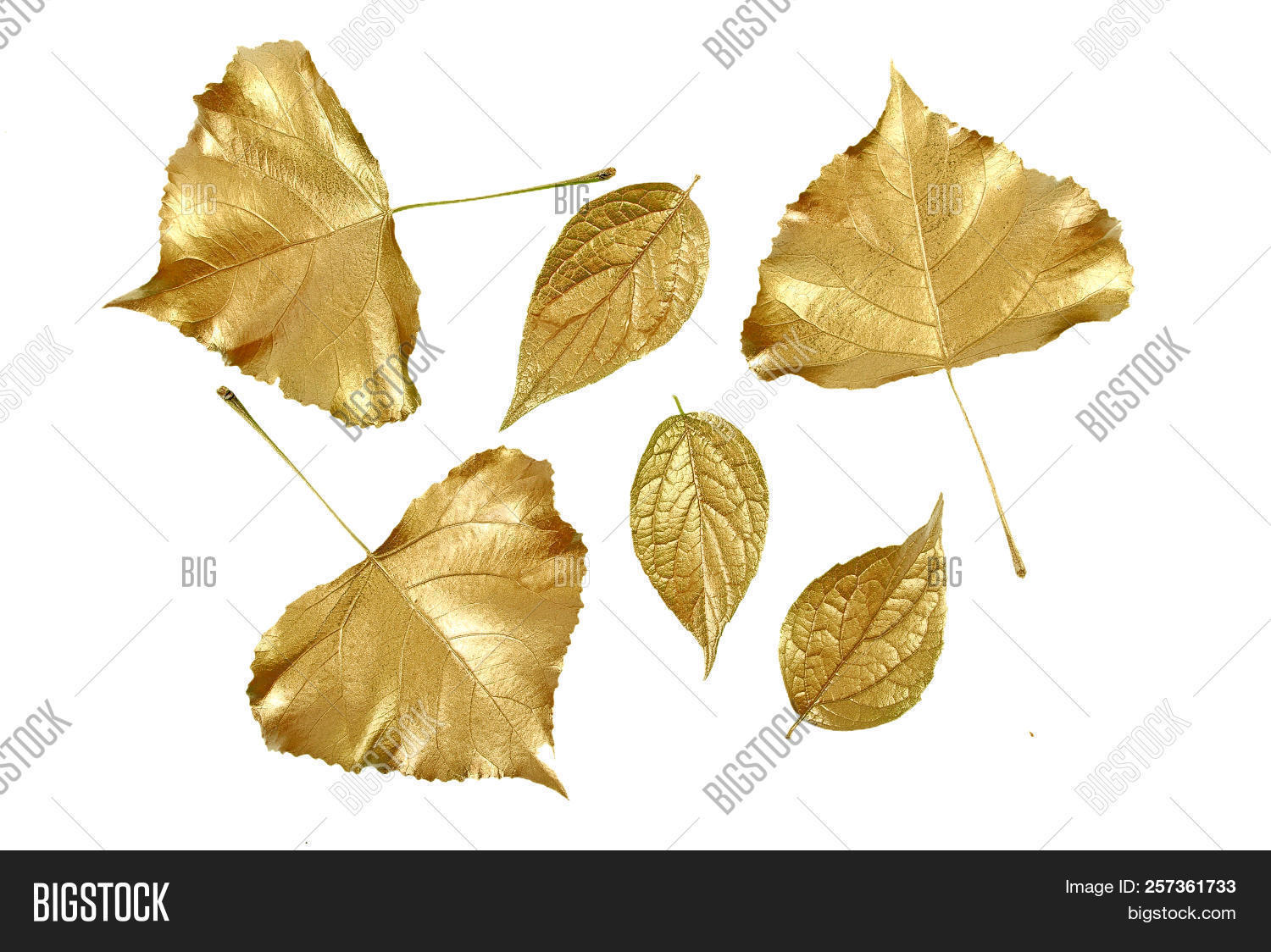 Set Gold Leaves. Image & Photo (Free Trial) | Bigstock