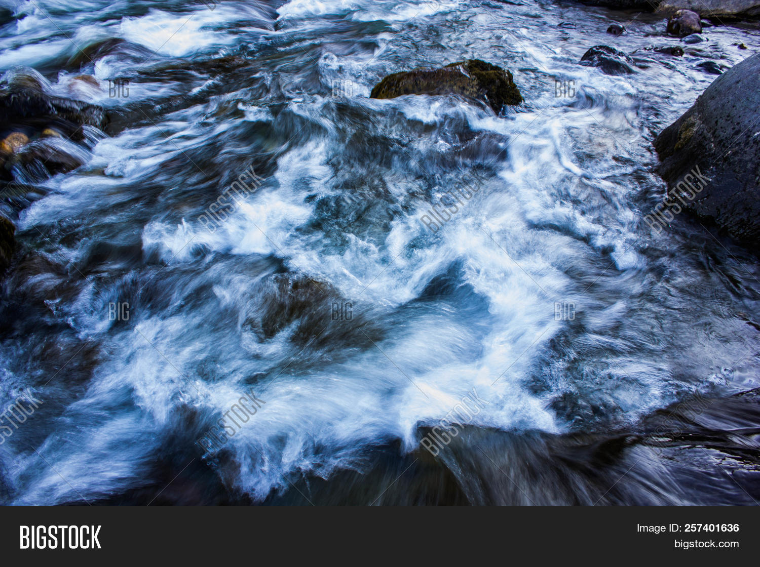 Forest Wild River Image & Photo (Free Trial) | Bigstock