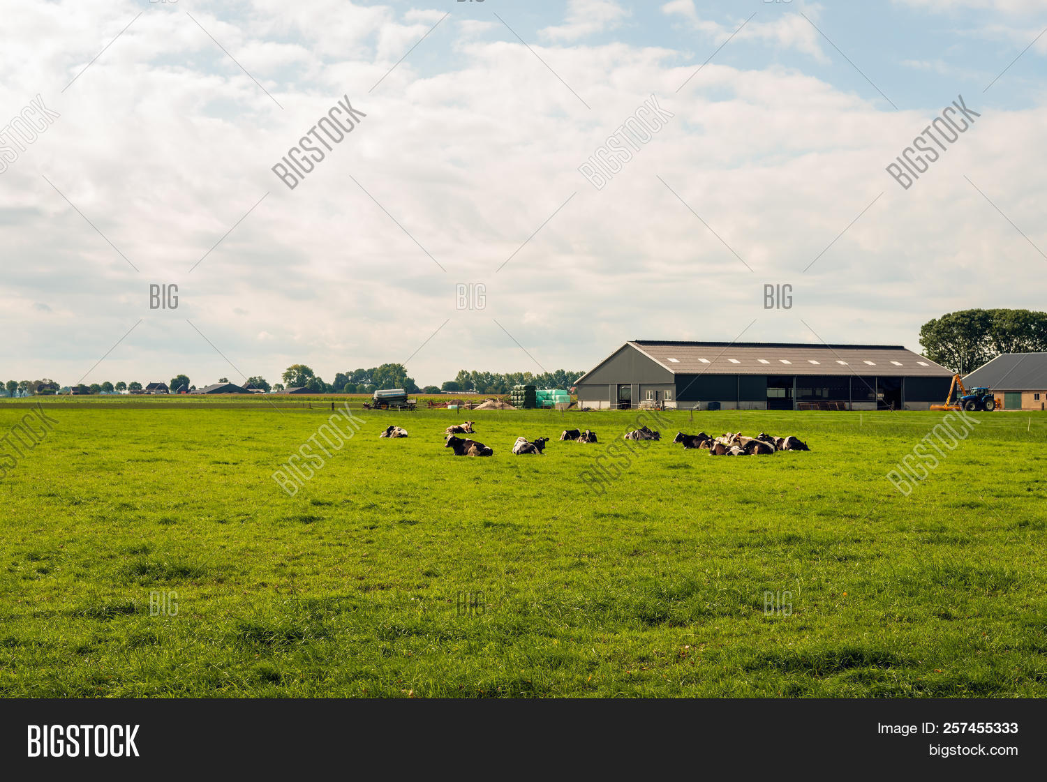 Dutch Agricultural Image & Photo (Free Trial) | Bigstock