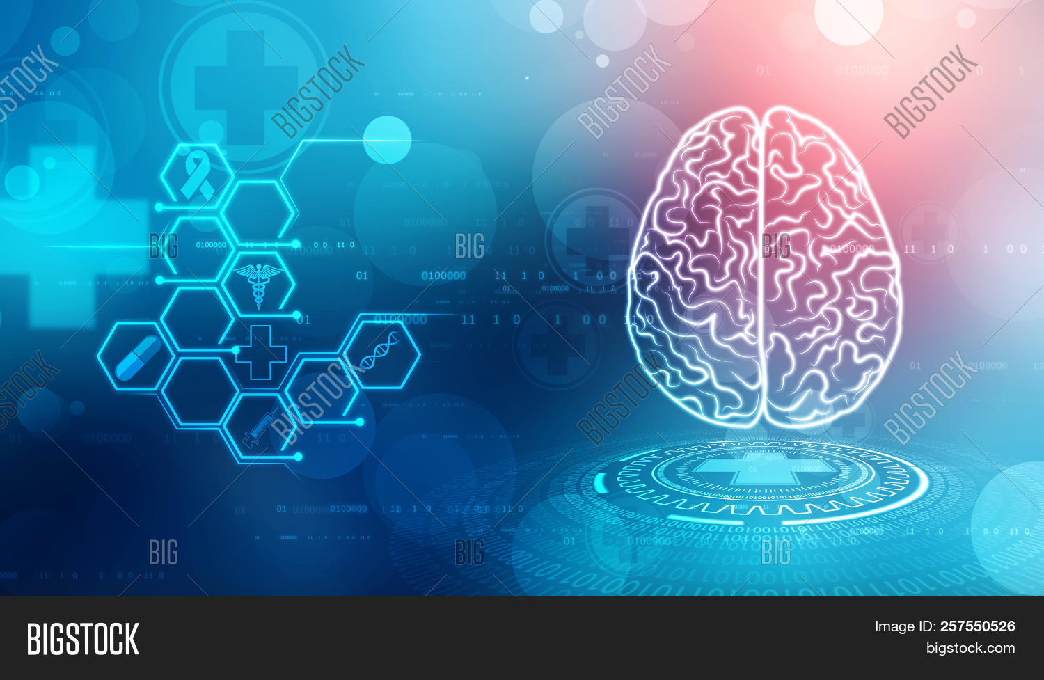 Imagen y foto Human Brain 2d (prueba gratis) | Bigstock