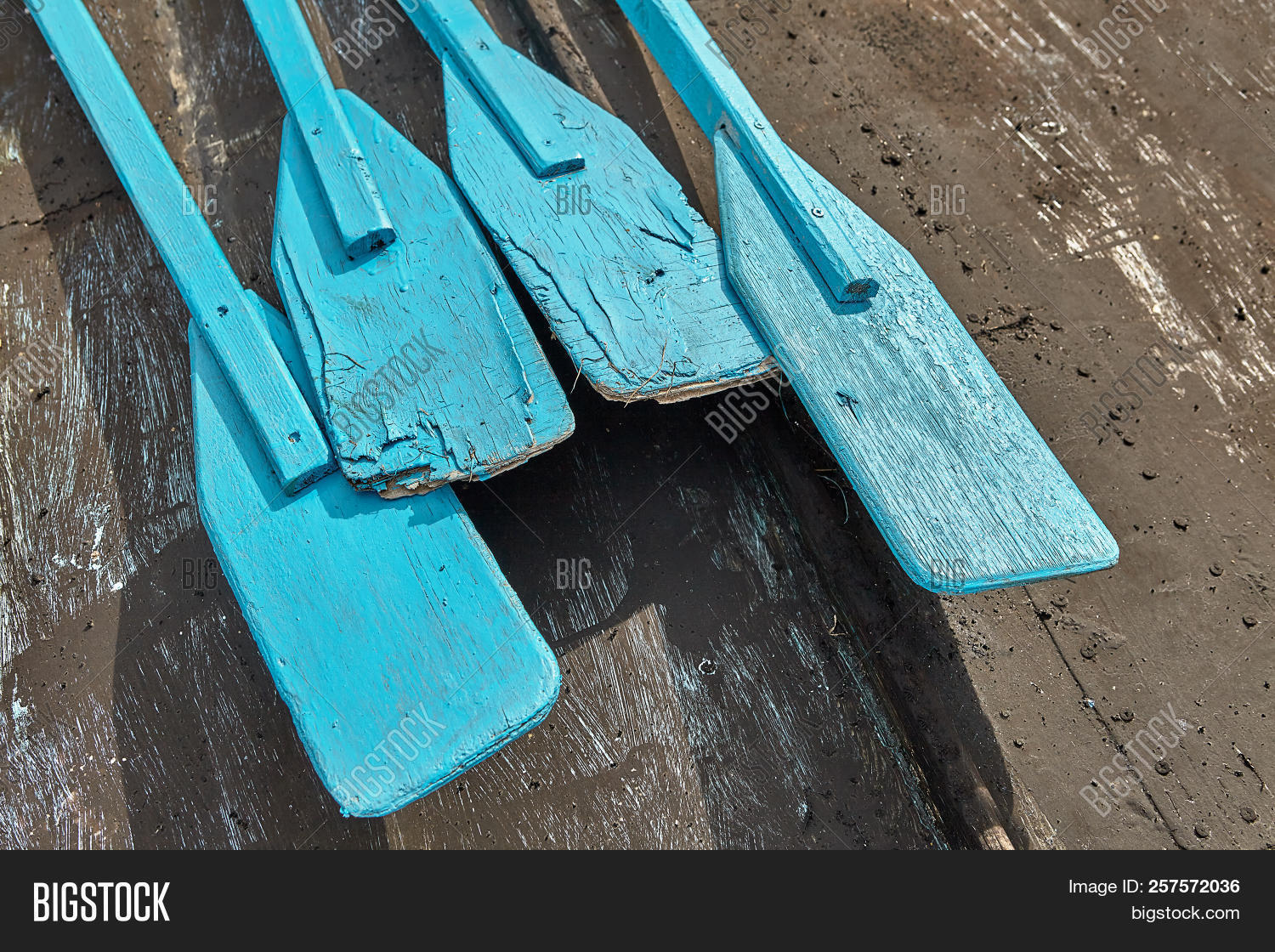 Four Blue Paddles Lie Image & Photo (Free Trial) | Bigstock