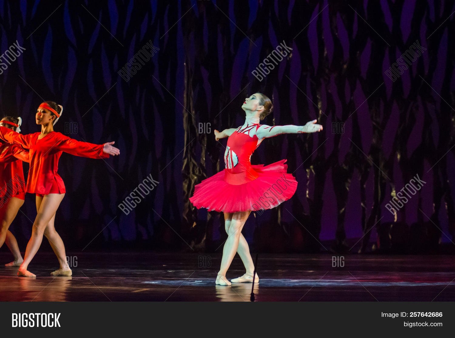 Bolero Ballet Image & Photo (Free Trial) | Bigstock