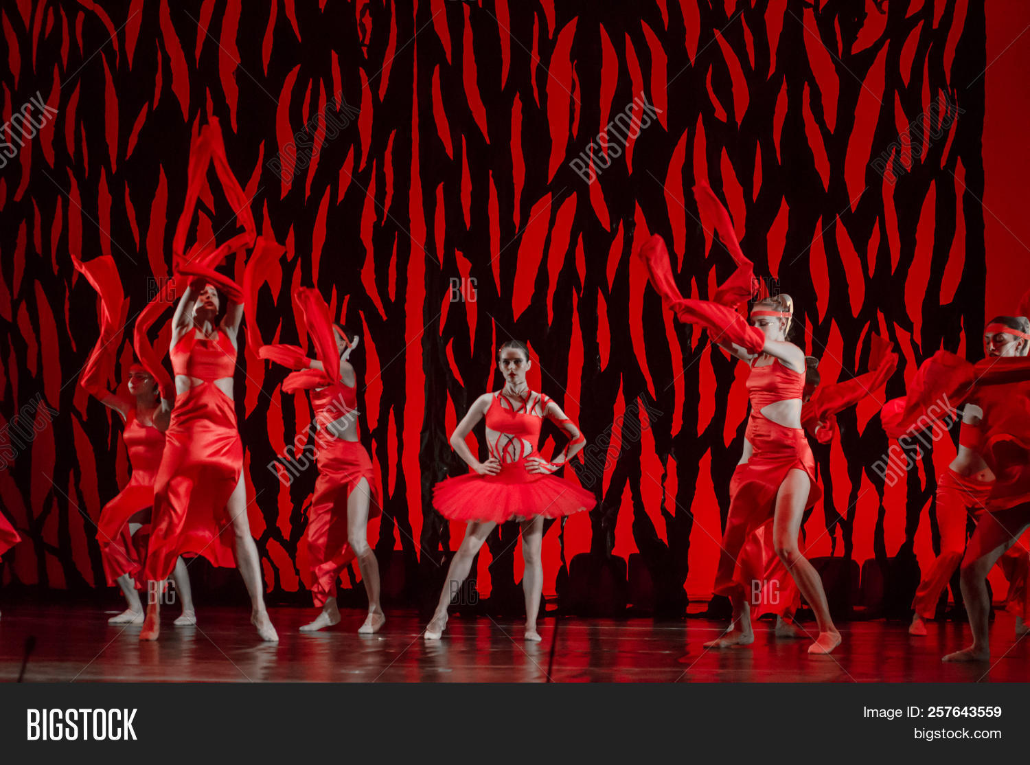 Bolero Ballet Image & Photo (Free Trial) | Bigstock