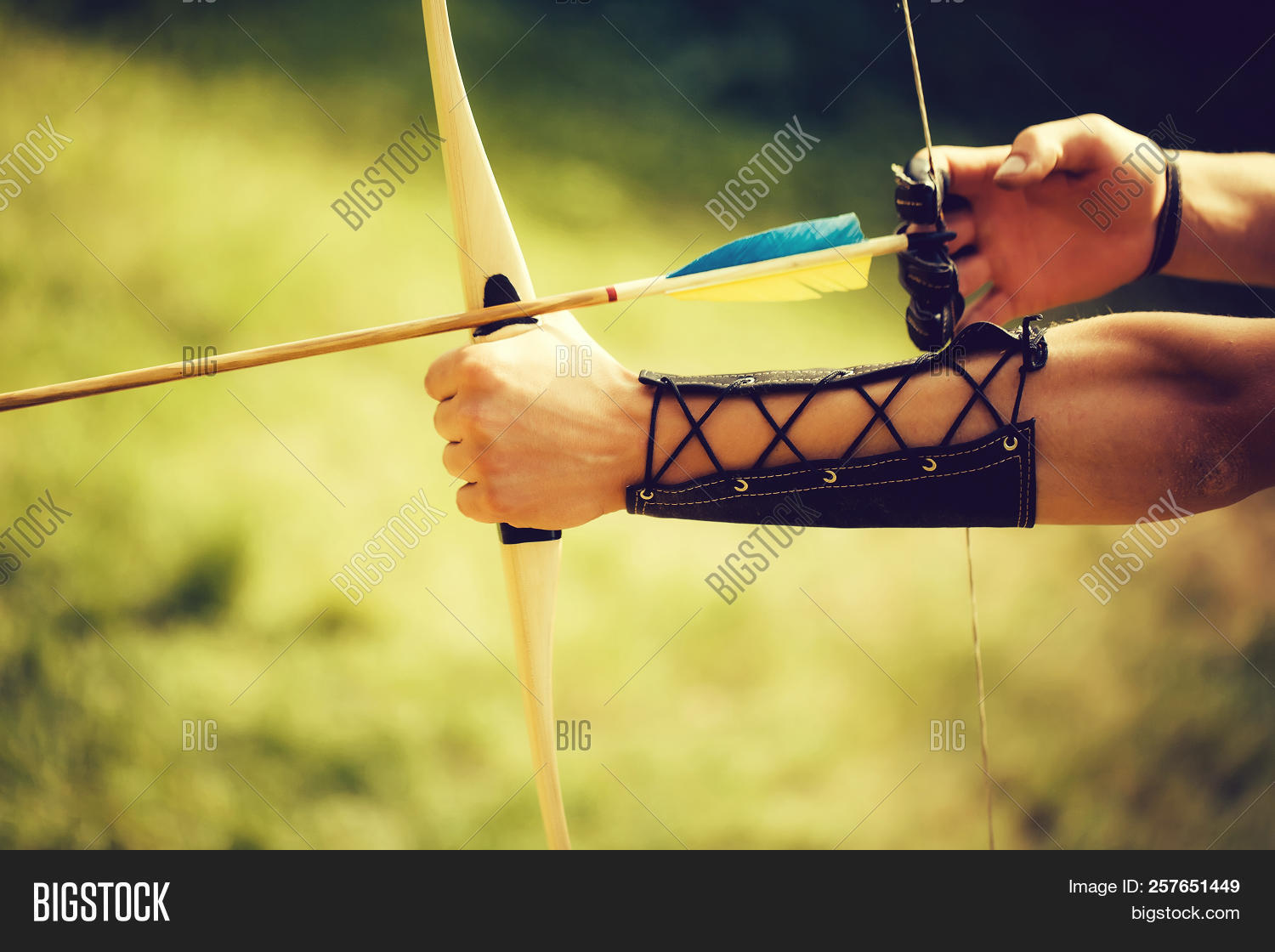 Archer Hands Bow Shoot Image & Photo (Free Trial) | Bigstock