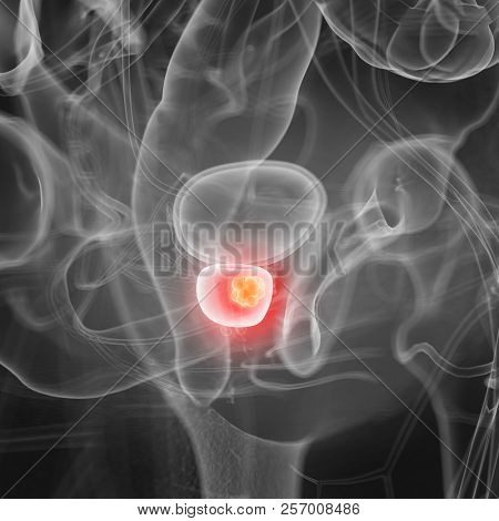 3d Rendered Medically Image & Photo (Free Trial) | Bigstock