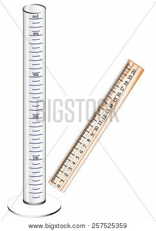 Ruler Tree Measuring Vector & Photo (Free Trial) | Bigstock