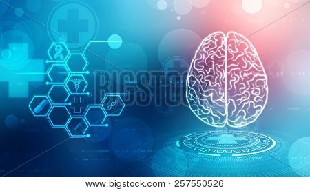 Human Brain 2d Image & Photo (Free Trial) | Bigstock