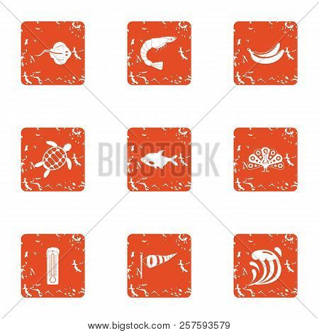 Wander Icons Set. Image & Photo (Free Trial) | Bigstock