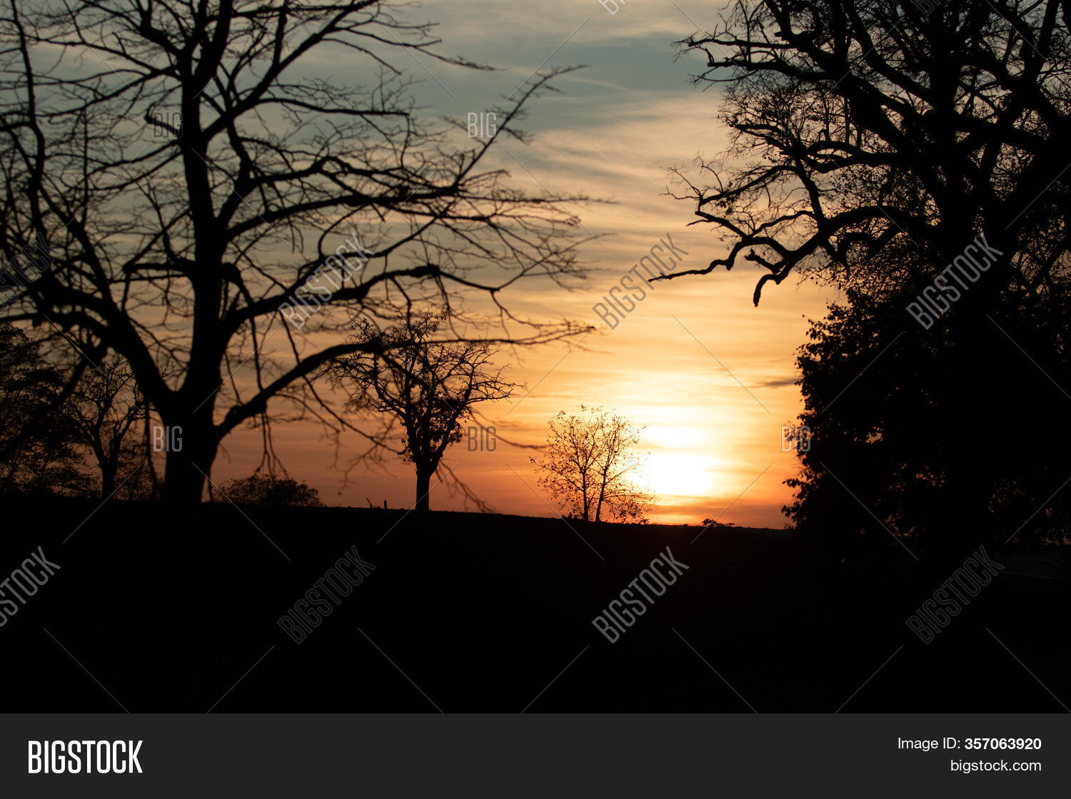Sun Between Branches Image & Photo (Free Trial) | Bigstock