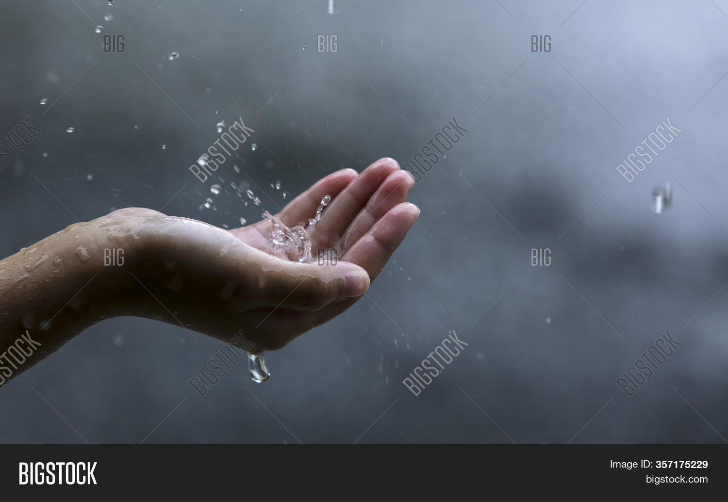 Palm Hands Water Image & Photo (Free Trial) | Bigstock