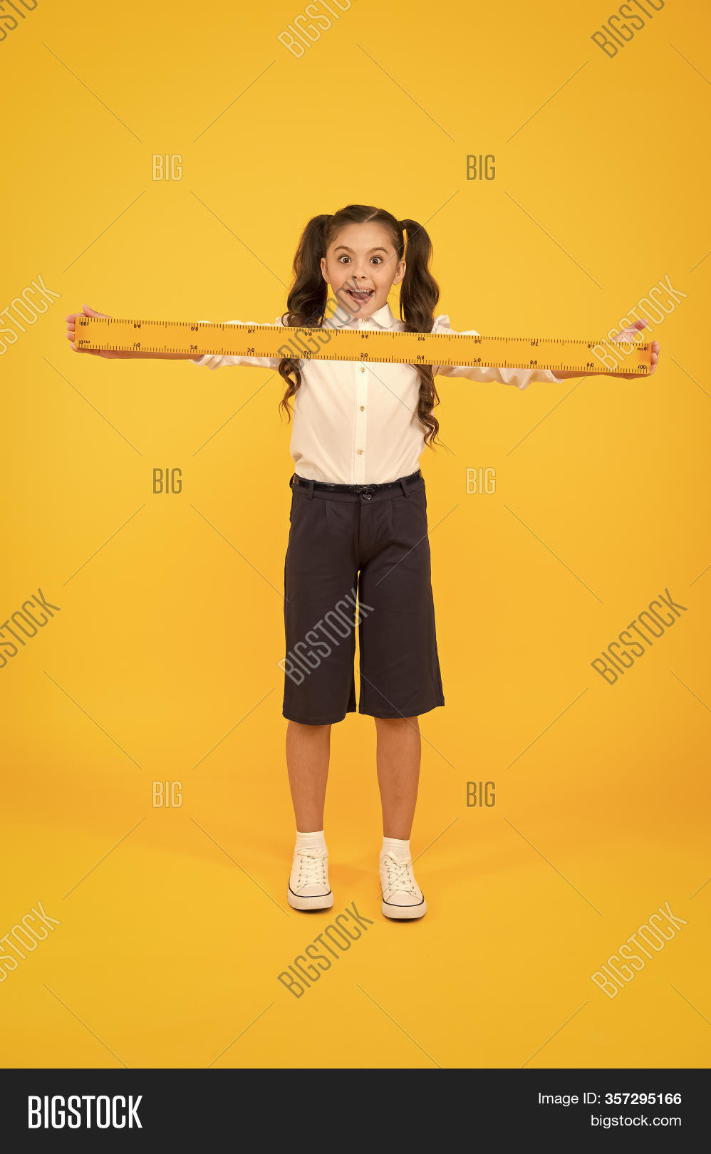 What Long Ruler. Image & Photo (Free Trial) | Bigstock