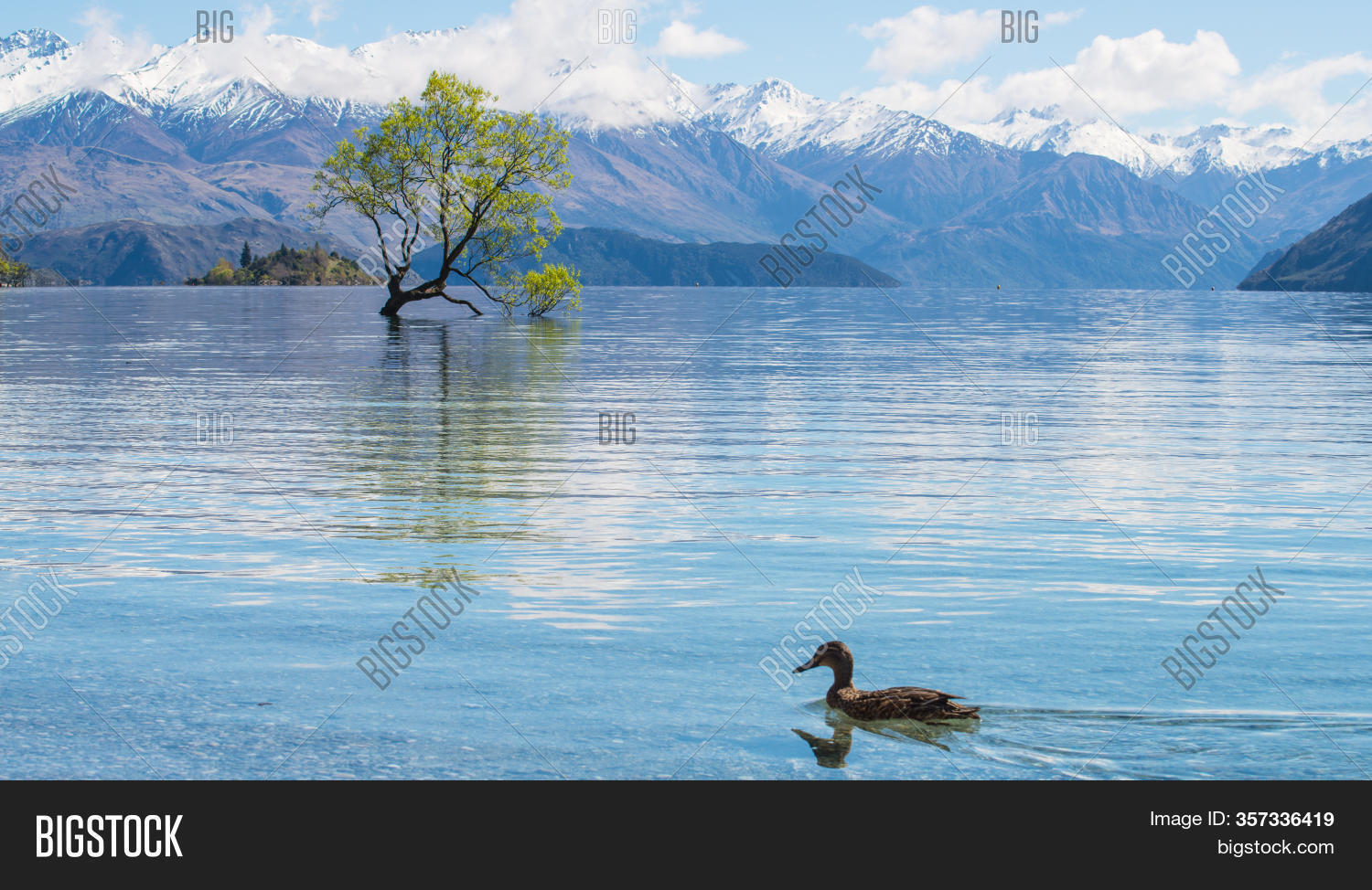 Iconic Lone Tree Lake Image & Photo (Free Trial) | Bigstock