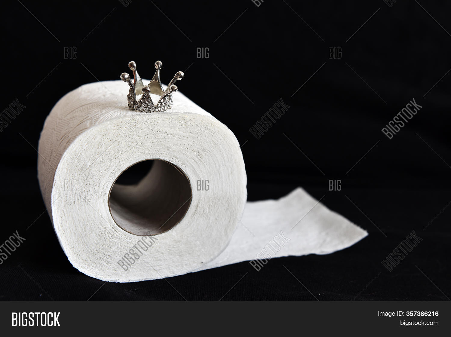 Toilet Roll Crown. Image & Photo (Free Trial) | Bigstock