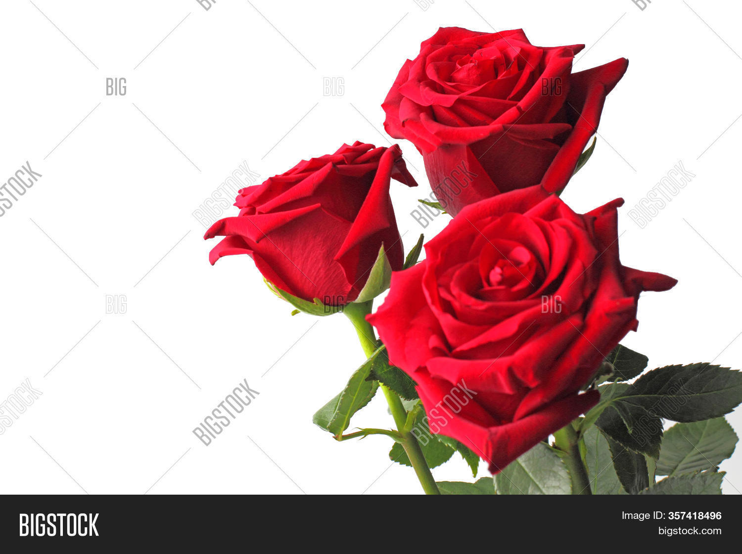 Bouquet Three Red Image & Photo (Free Trial) | Bigstock