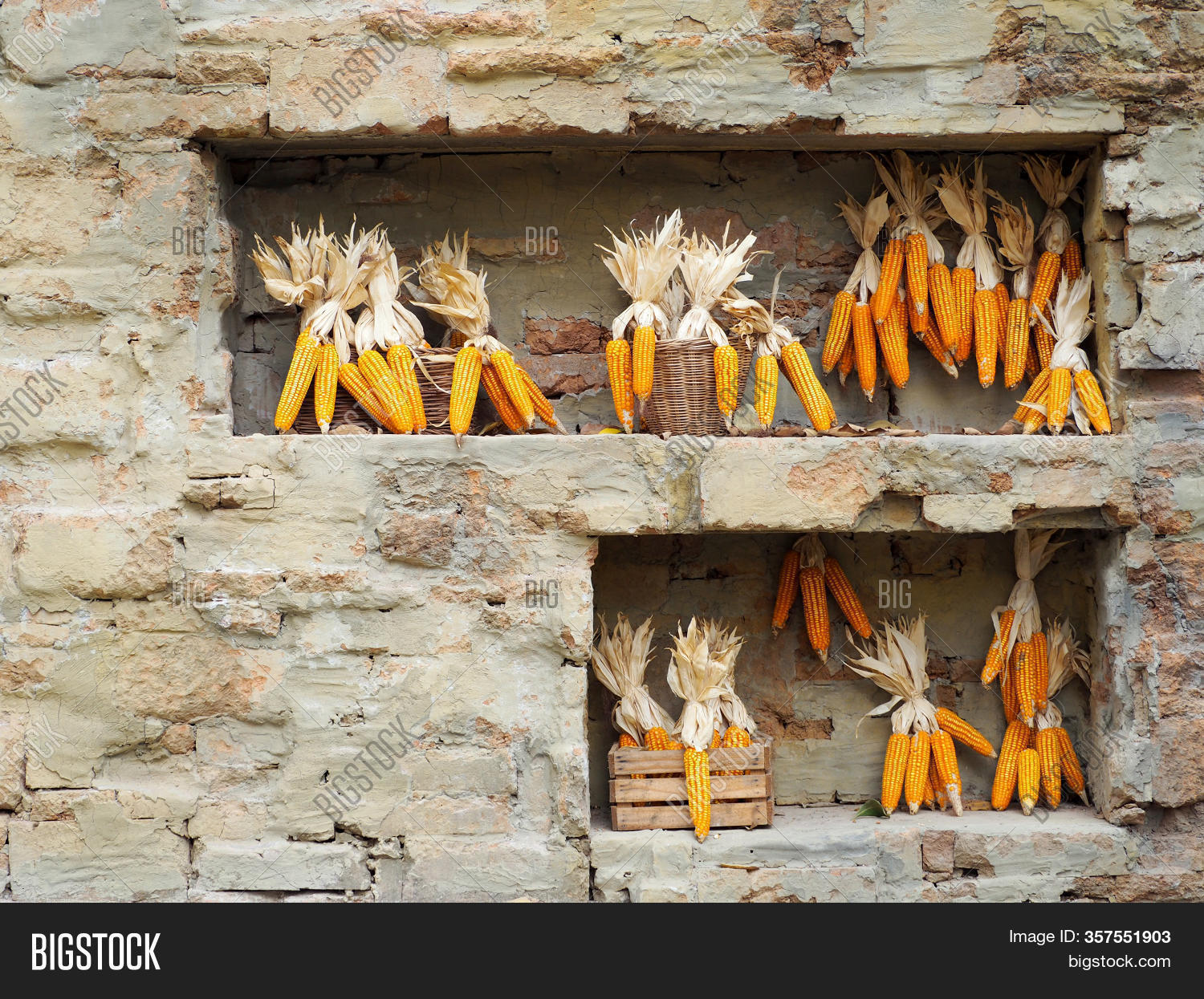Dried Corn Hanging On Image & Photo (Free Trial) | Bigstock