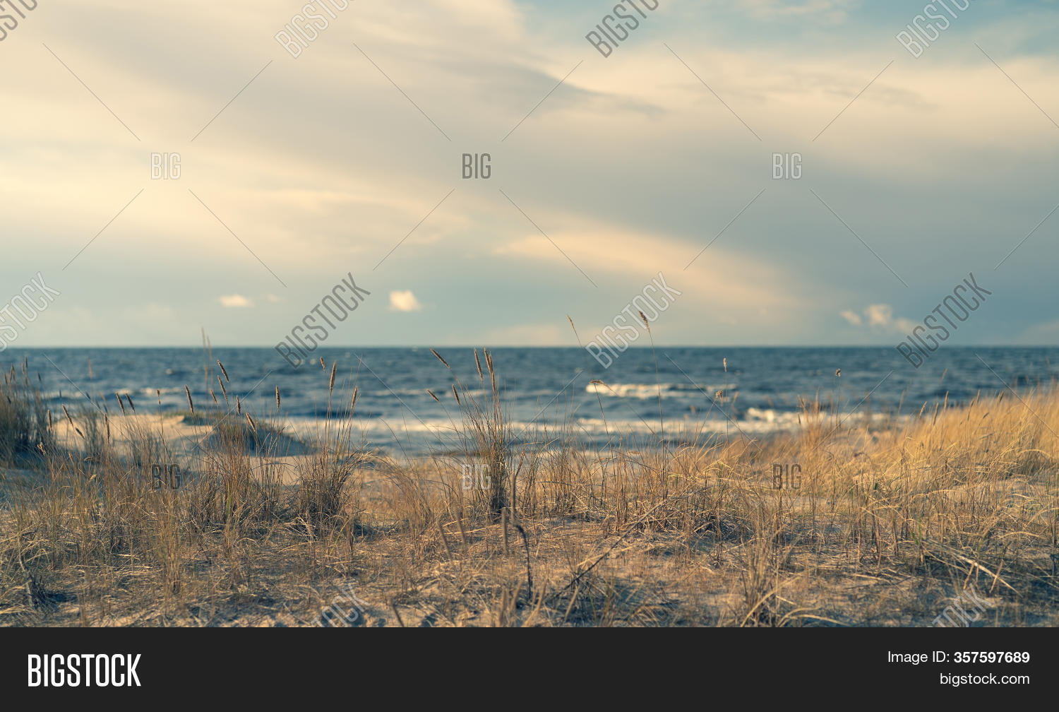 Sandy Yellow Dunes Image & Photo (Free Trial) | Bigstock