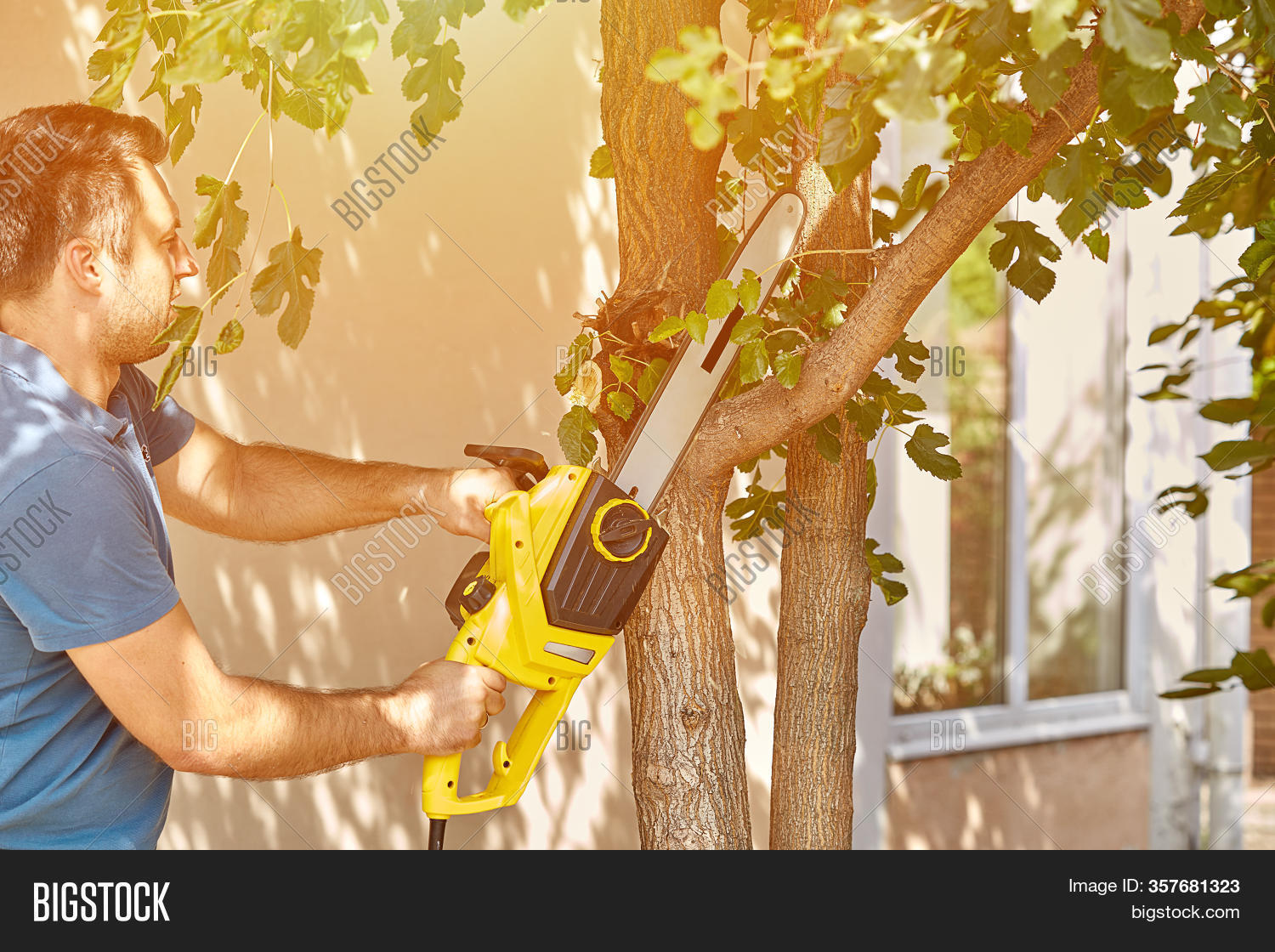 Lumberjack Sawing Tree Image & Photo (Free Trial) | Bigstock