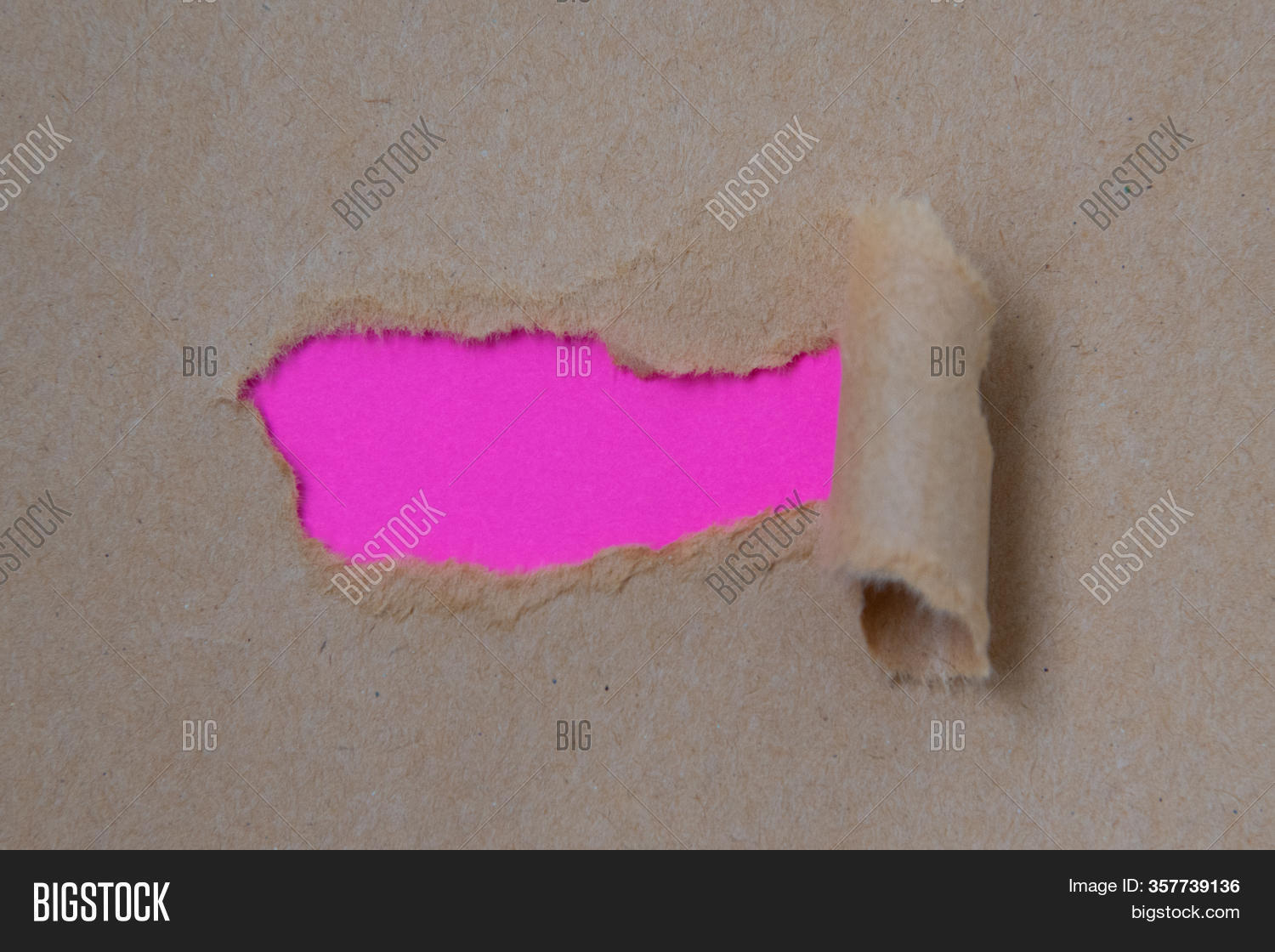Ripped Paper Curled Image & Photo (Free Trial) | Bigstock