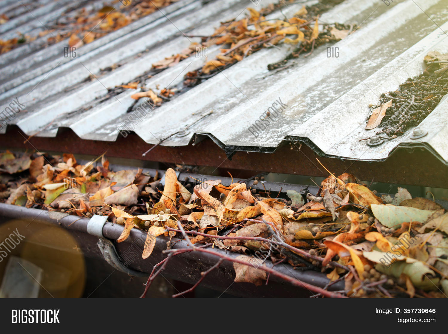 Dirty Roof Clogged Image & Photo (Free Trial) | Bigstock