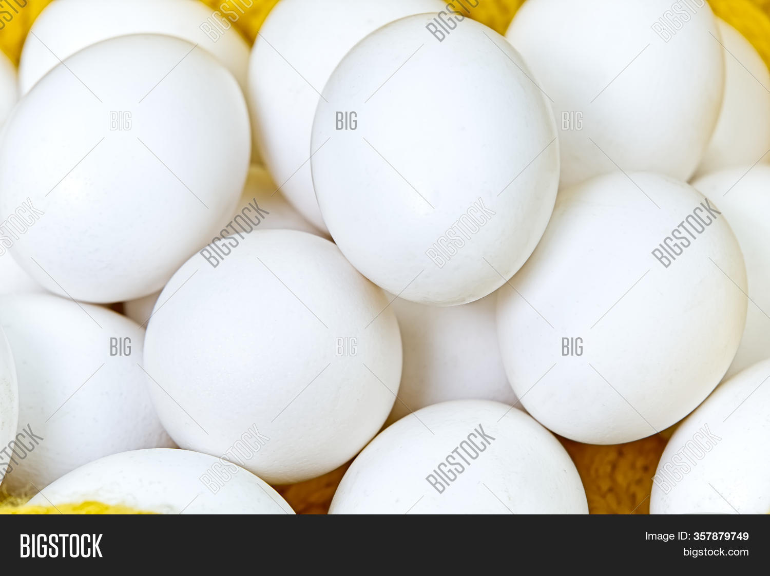 Chiken White Eggs Image & Photo (Free Trial) | Bigstock