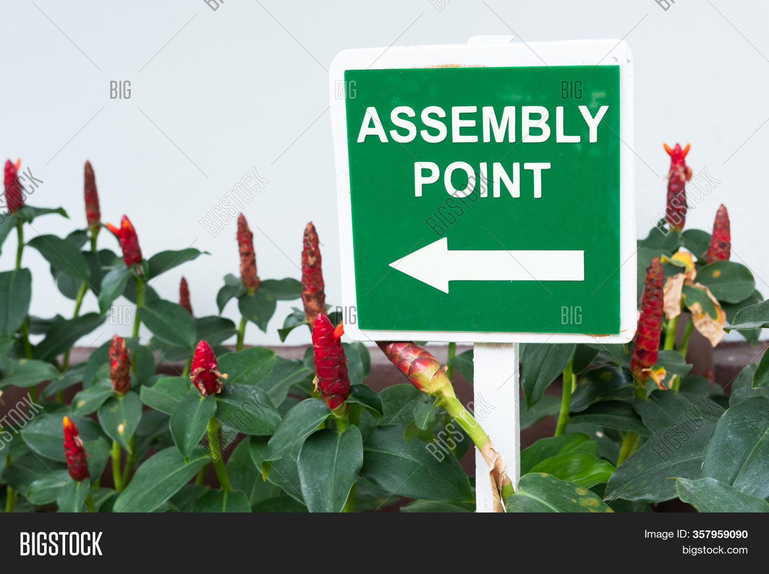 Assembly Point Green Image & Photo (Free Trial) | Bigstock