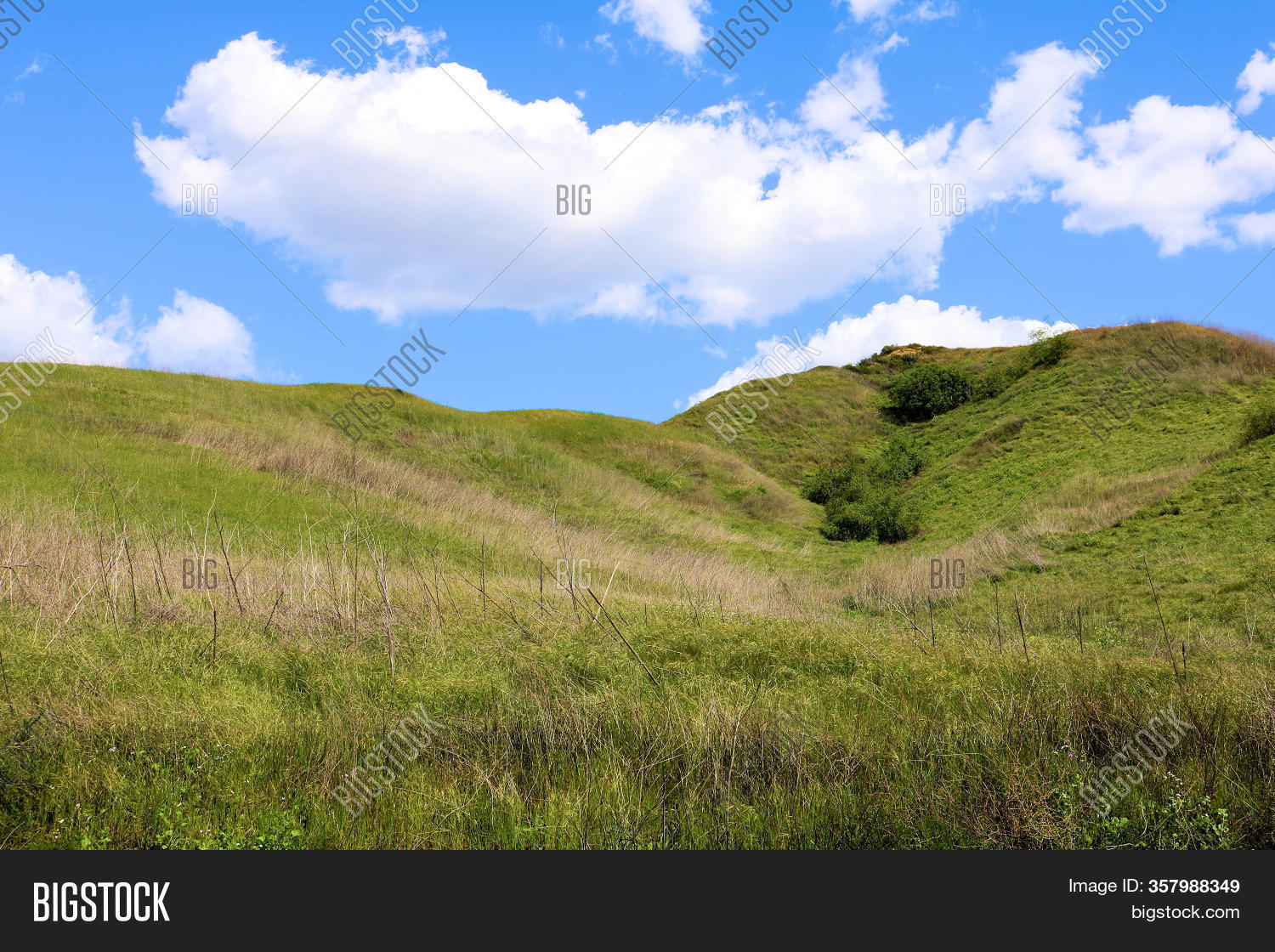 Lush Green Hills Image & Photo (Free Trial) | Bigstock