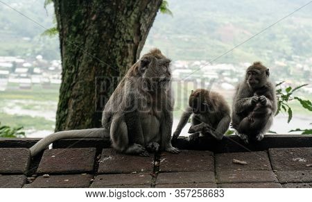 .observation Behavior Image & Photo (Free Trial) | Bigstock