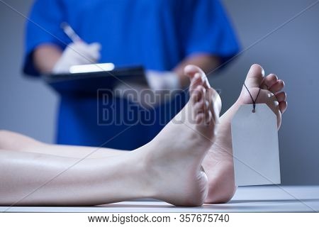 Morgue Images, Illustrations & Vectors (Free) - Bigstock
