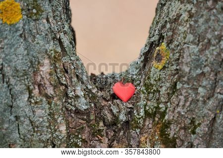 Heart On Tree. Image & Photo (Free Trial) | Bigstock