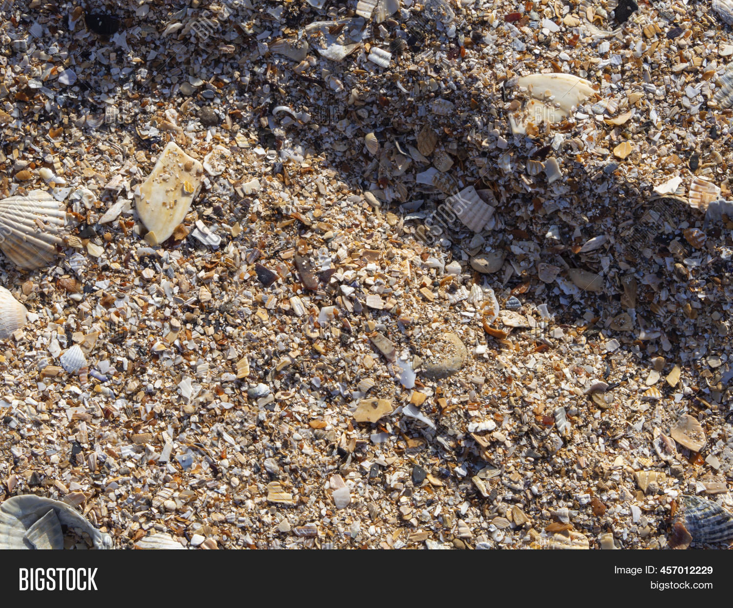 Imagen y foto Natural Shell-sandy (prueba gratis) | Bigstock