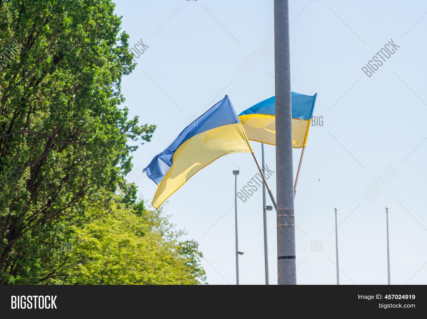Ukraine Flag Large Image & Photo (Free Trial) | Bigstock