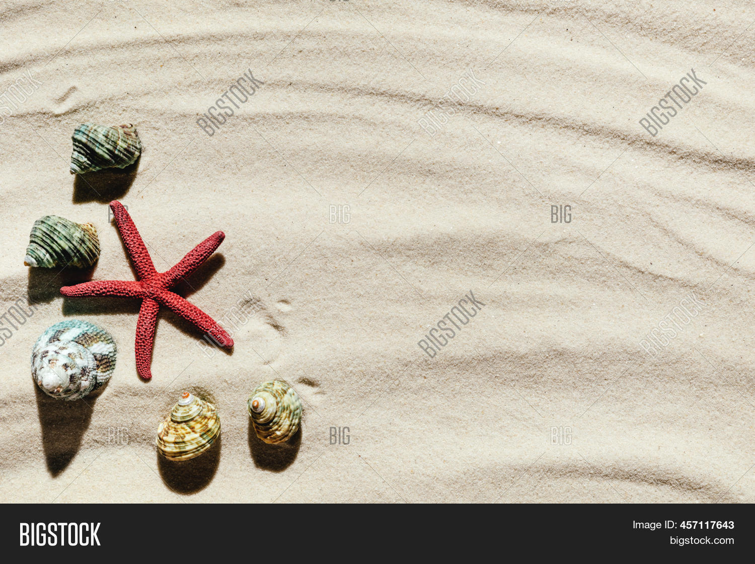 Background Light Beach Image & Photo (Free Trial) | Bigstock