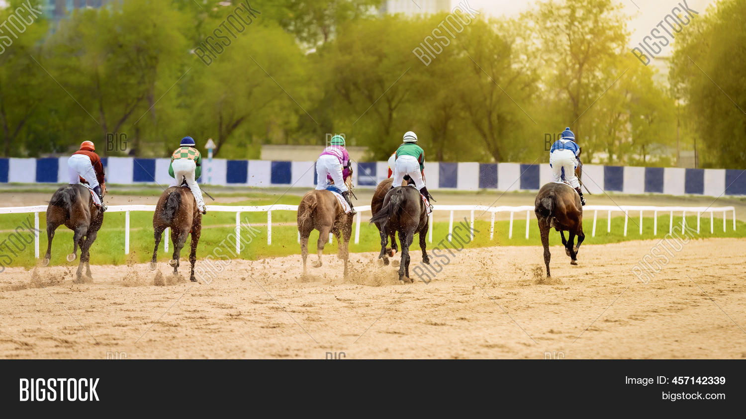Galloping Race Horses Image & Photo (Free Trial) | Bigstock