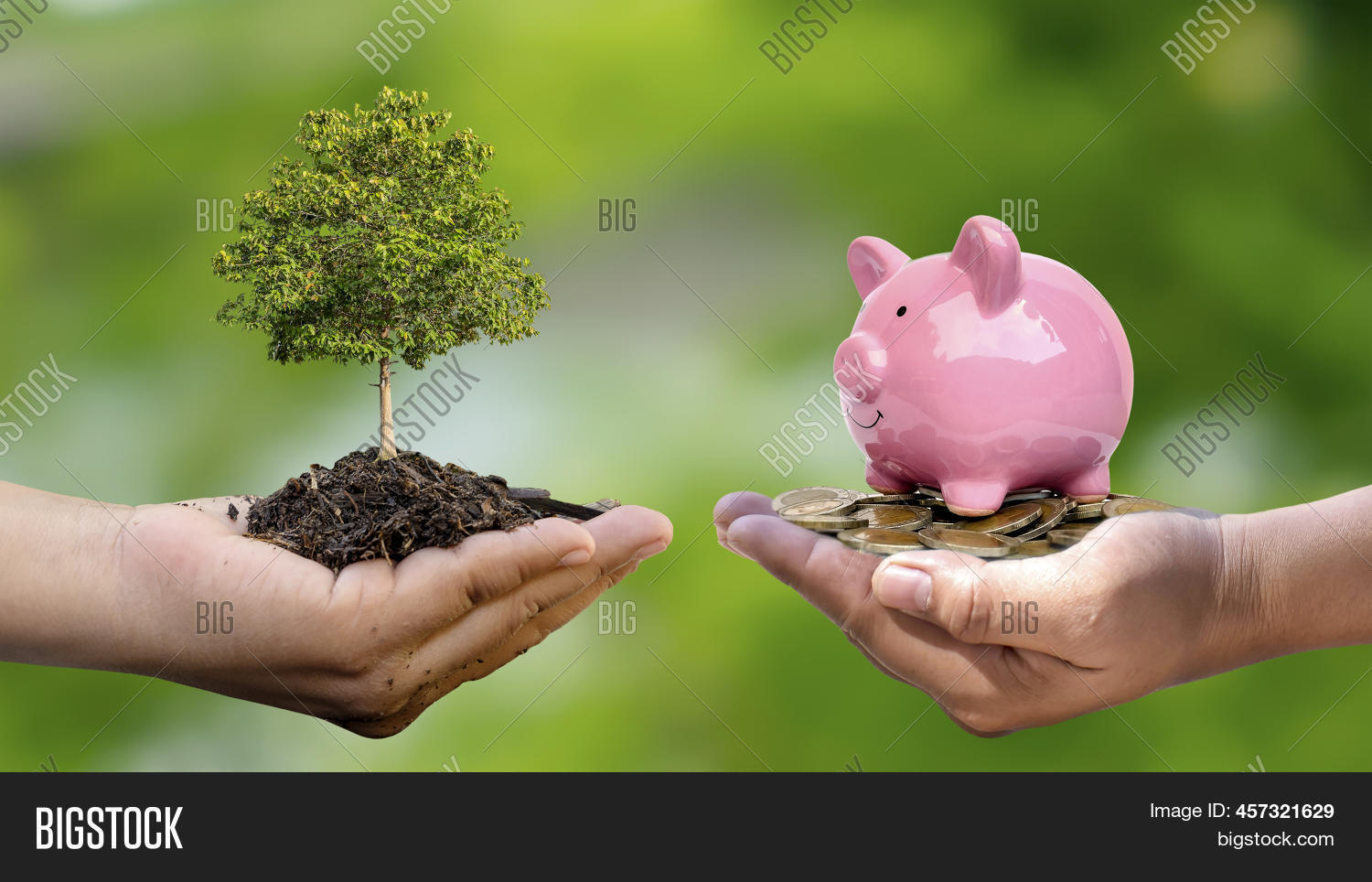 Trees Money Human Image & Photo (Free Trial) | Bigstock