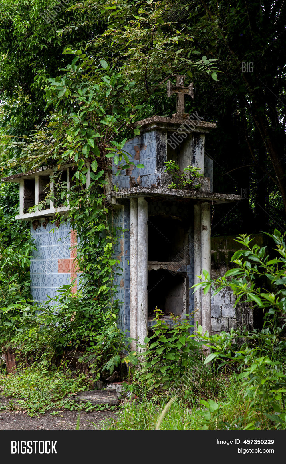 Abandoned Open Graves Image & Photo (Free Trial) | Bigstock