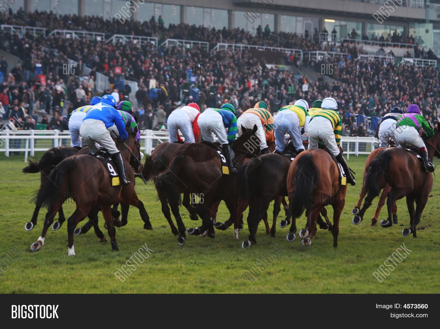 Horse Racing Rear View Image & Photo (Free Trial) | Bigstock