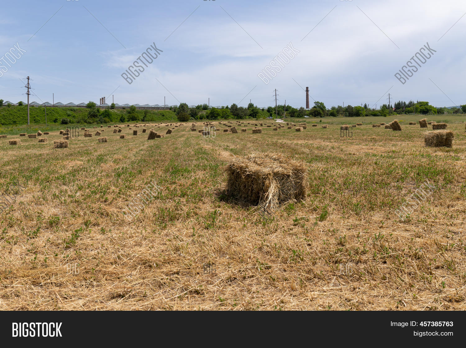 Hay Texture. Bales Hay Image & Photo (Free Trial) | Bigstock
