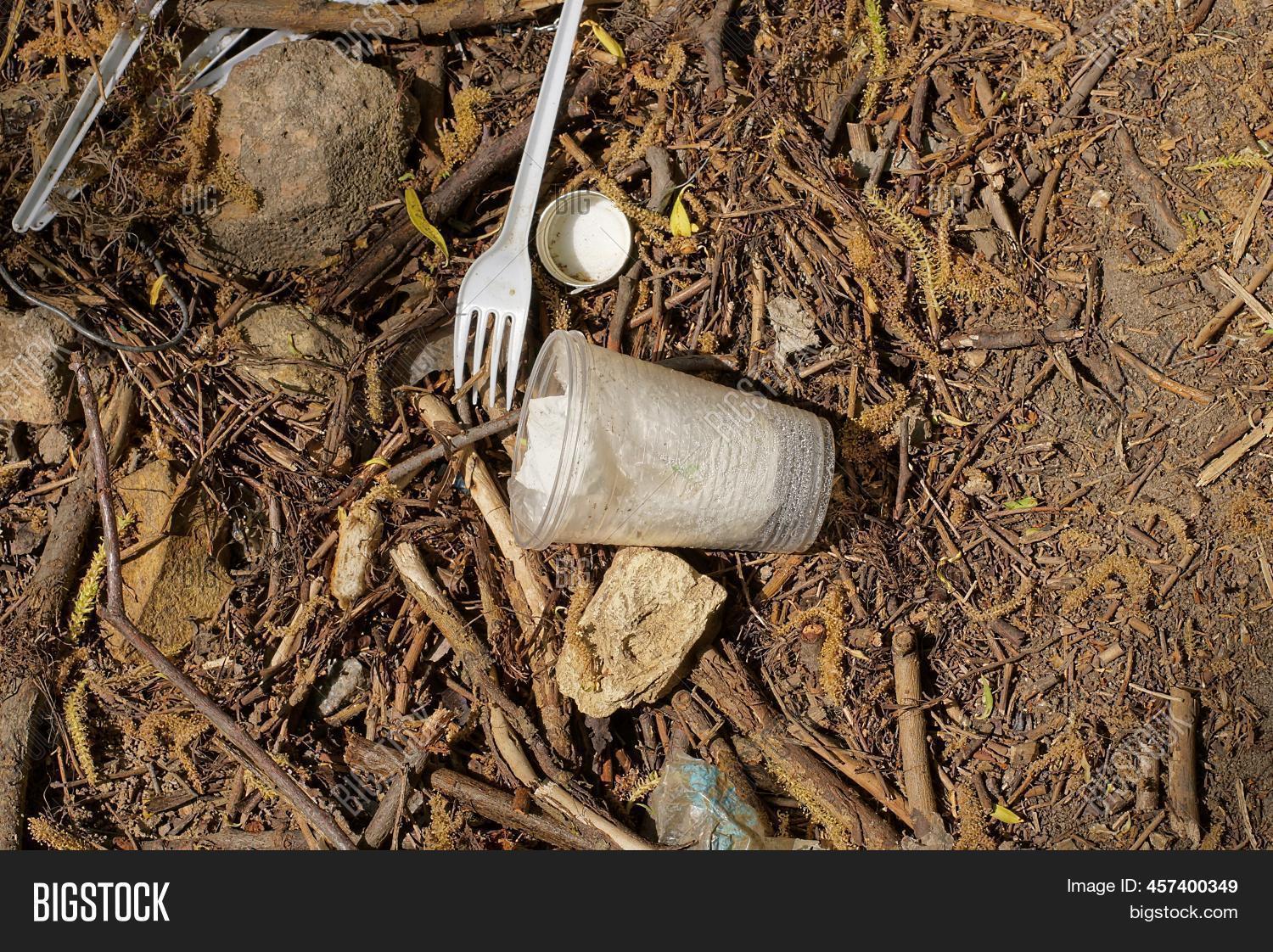 Garbage One Empty Image & Photo (Free Trial) | Bigstock