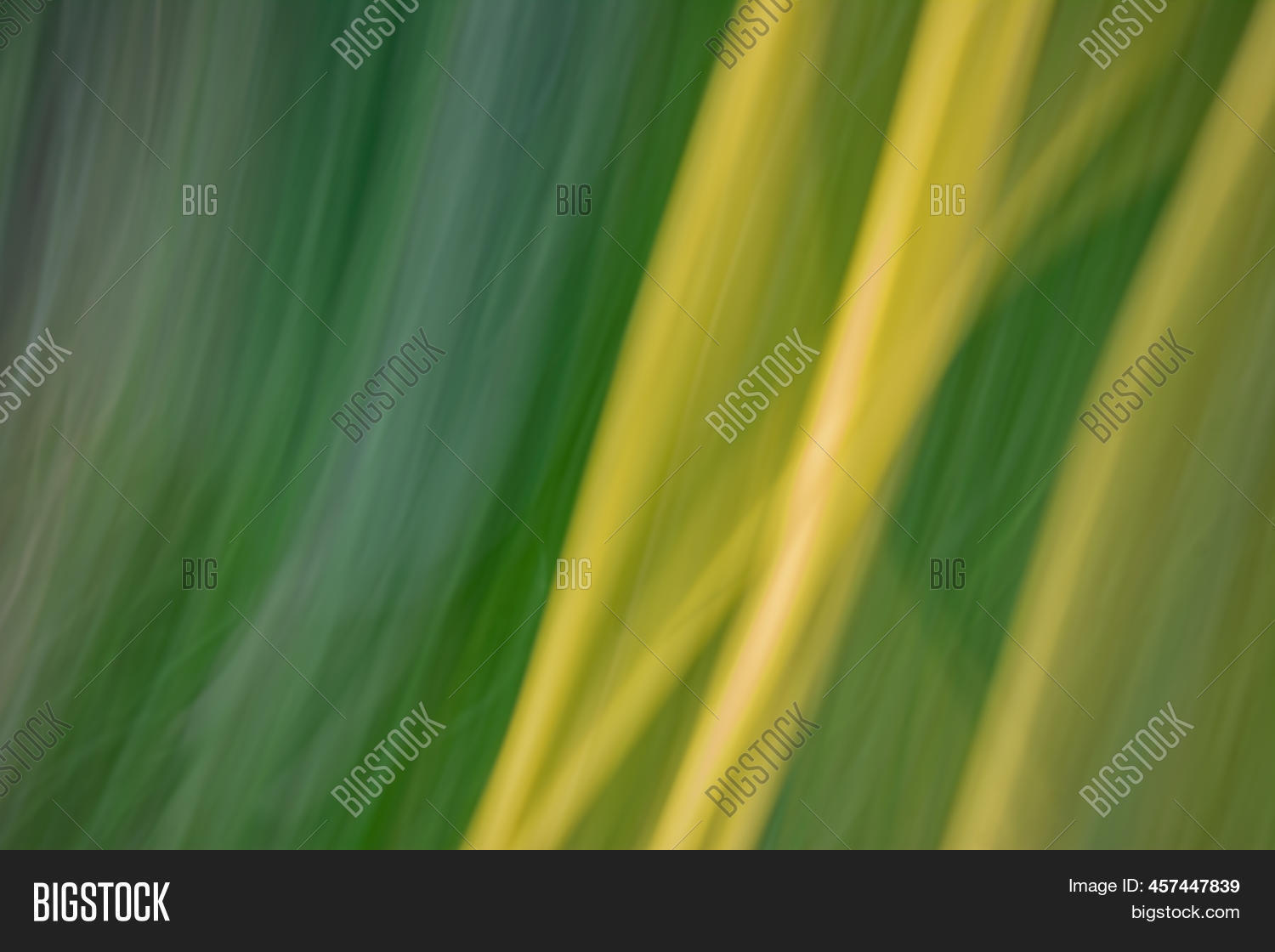 Dirty Dark Green Image & Photo (Free Trial) | Bigstock