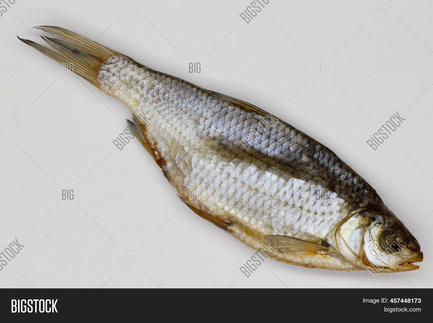Dried Fish On White Image & Photo (Free Trial) | Bigstock