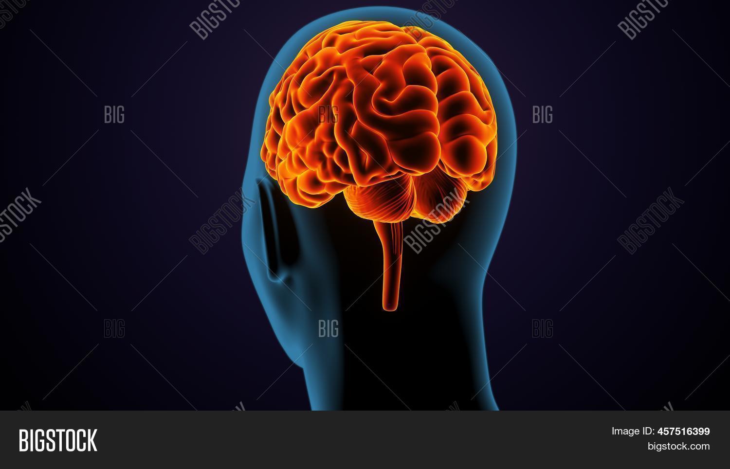 3d Ilustration Male Image & Photo (Free Trial) | Bigstock