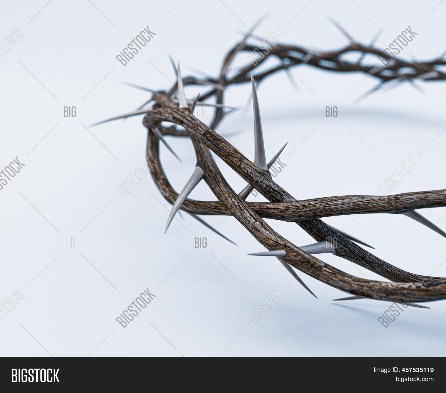 Branches Thorns Woven Image & Photo (Free Trial) | Bigstock