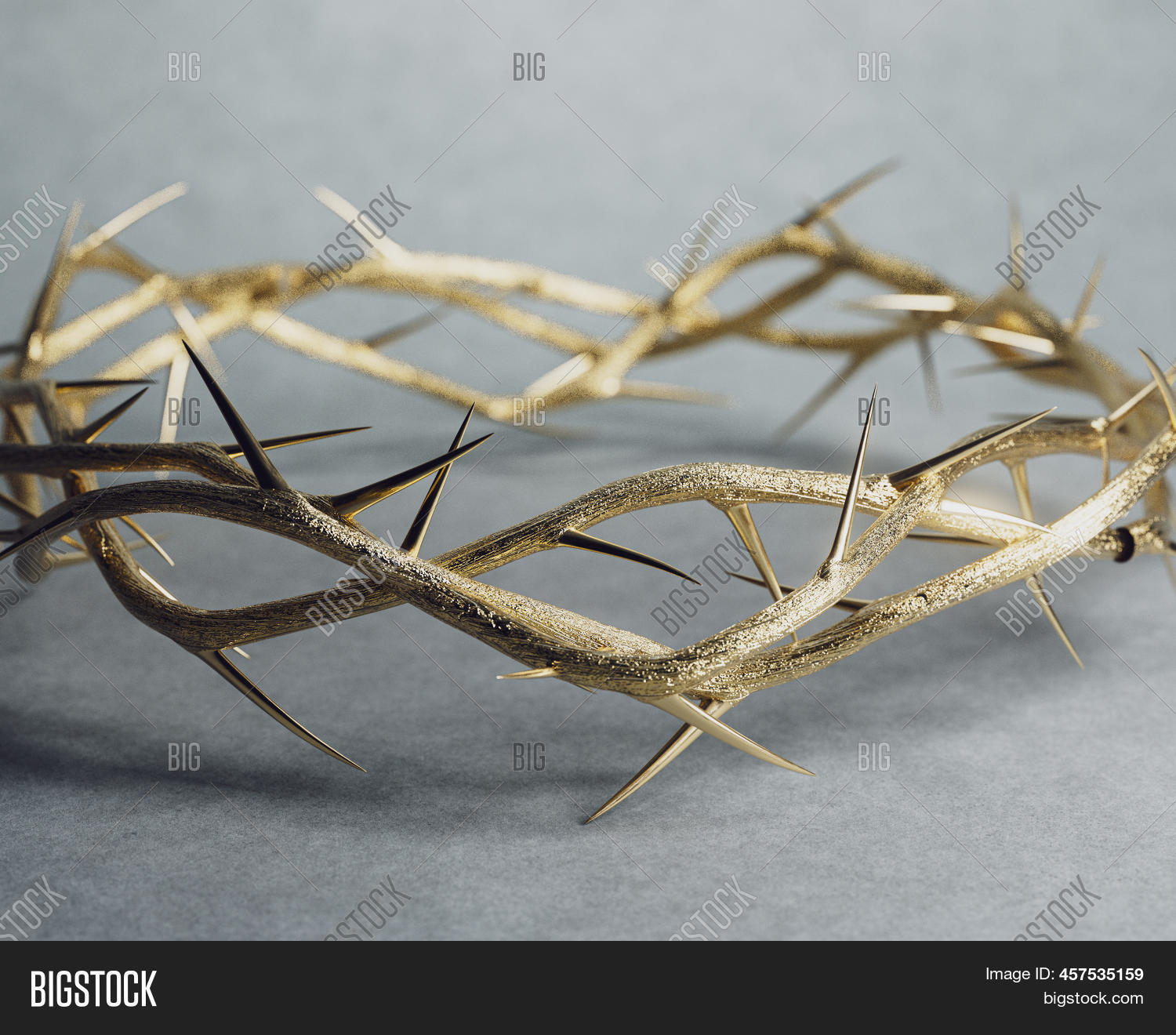 Branches Thorns Made Image & Photo (Free Trial) | Bigstock